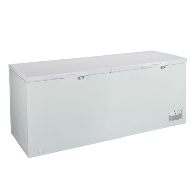 460 Liter Hard Top Chest Freezer
