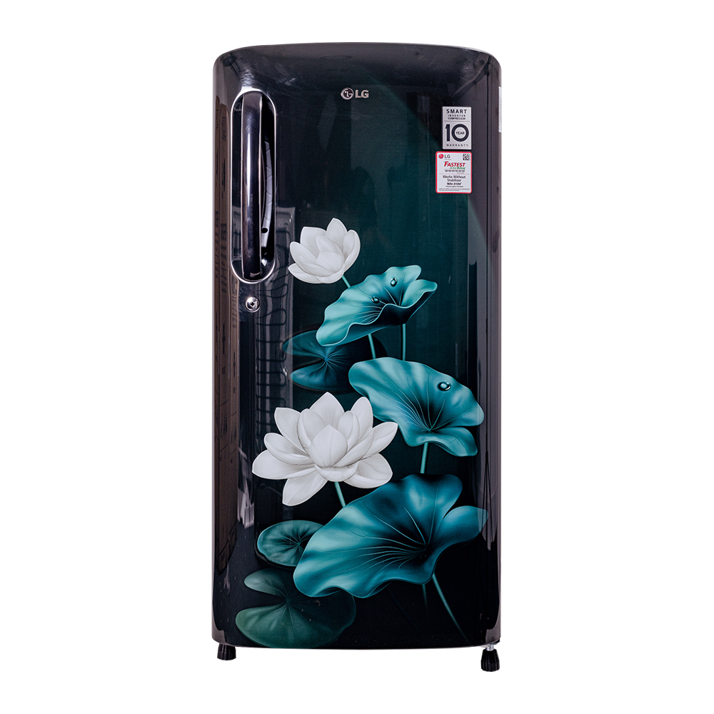 190 Liter Single Door Refrigerator
